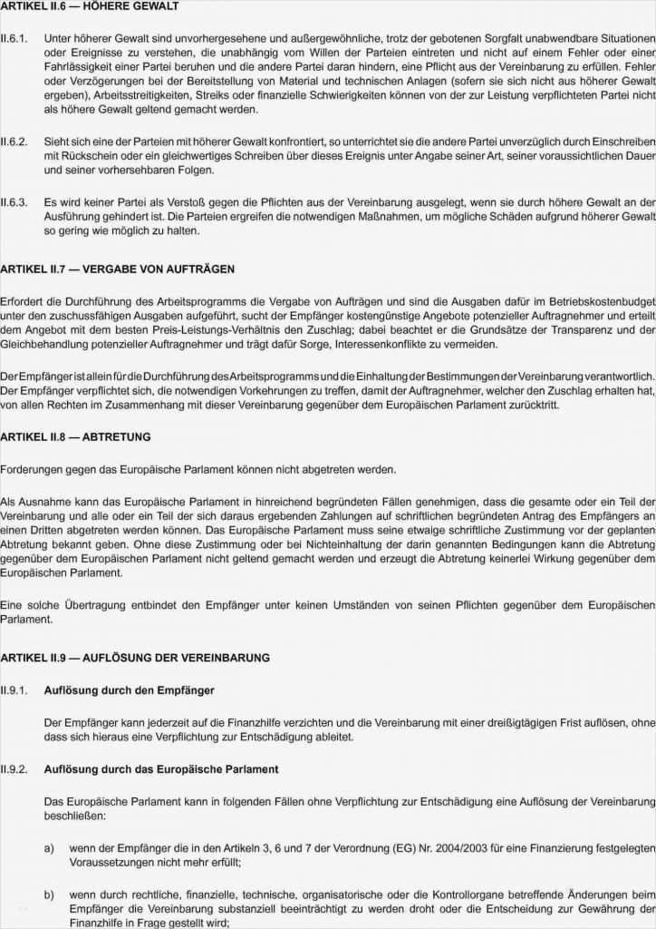 Gliederung Projektarbeit Vorlage Schön Charmant Zeitungsartikel ...